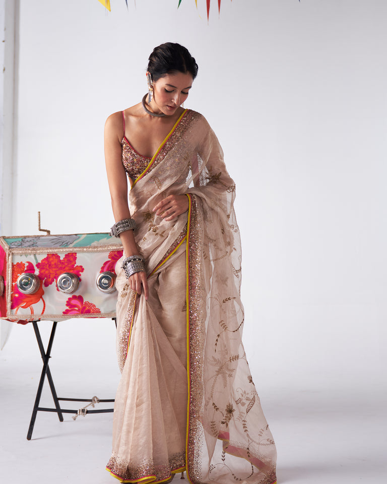 Sakhi Ivory Tissue Jaal Embroidered Saree Set – Raji Ramniq